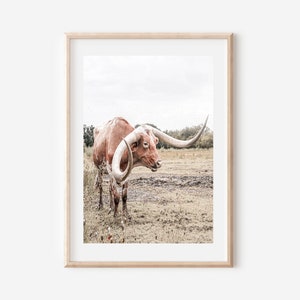 Texas Art Print, Texas Wall Art, Texas Longhorn Cow Print, Southwestern ...