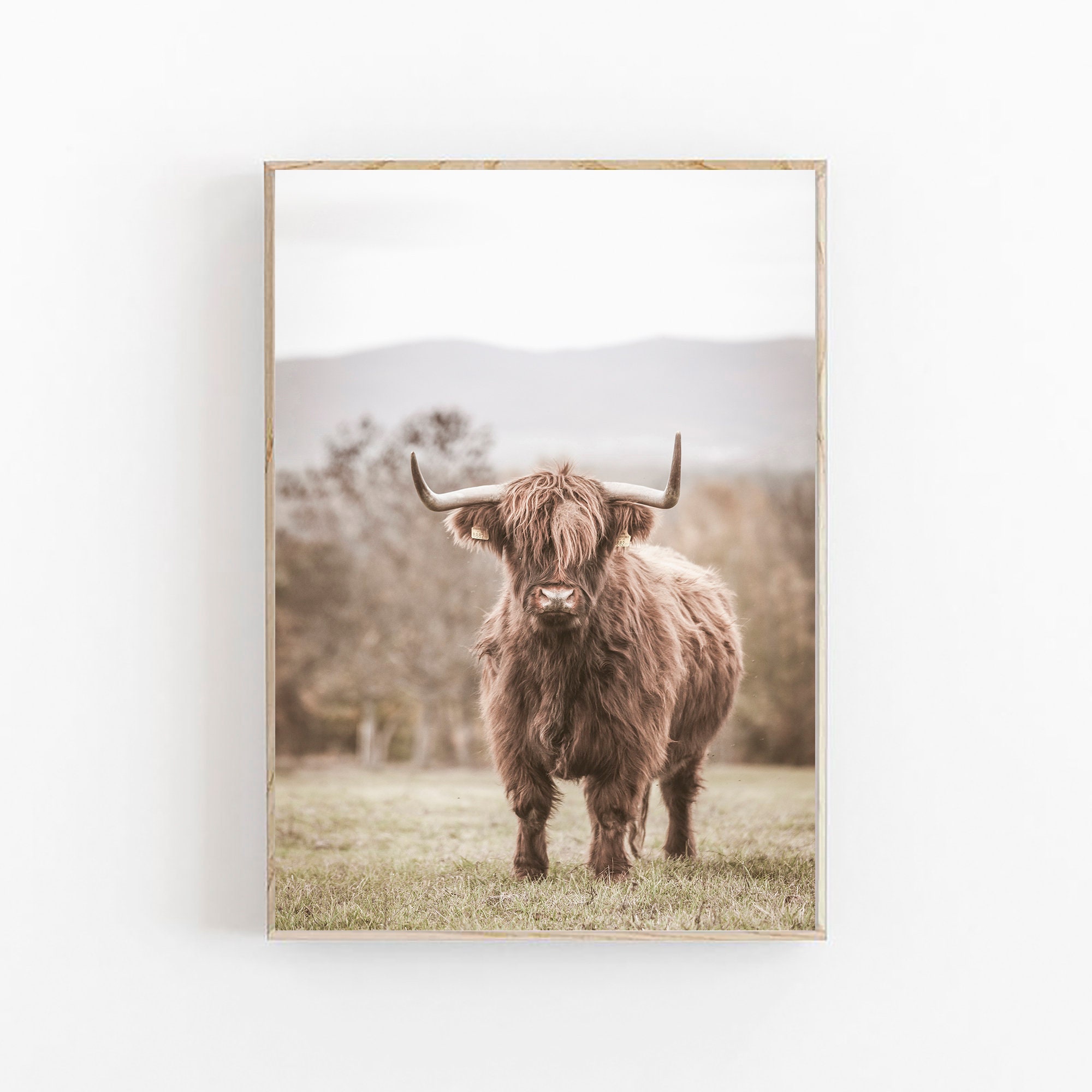 Farmhouse Print Set of 6 Rustic Wall Decor Highland Cow - Etsy