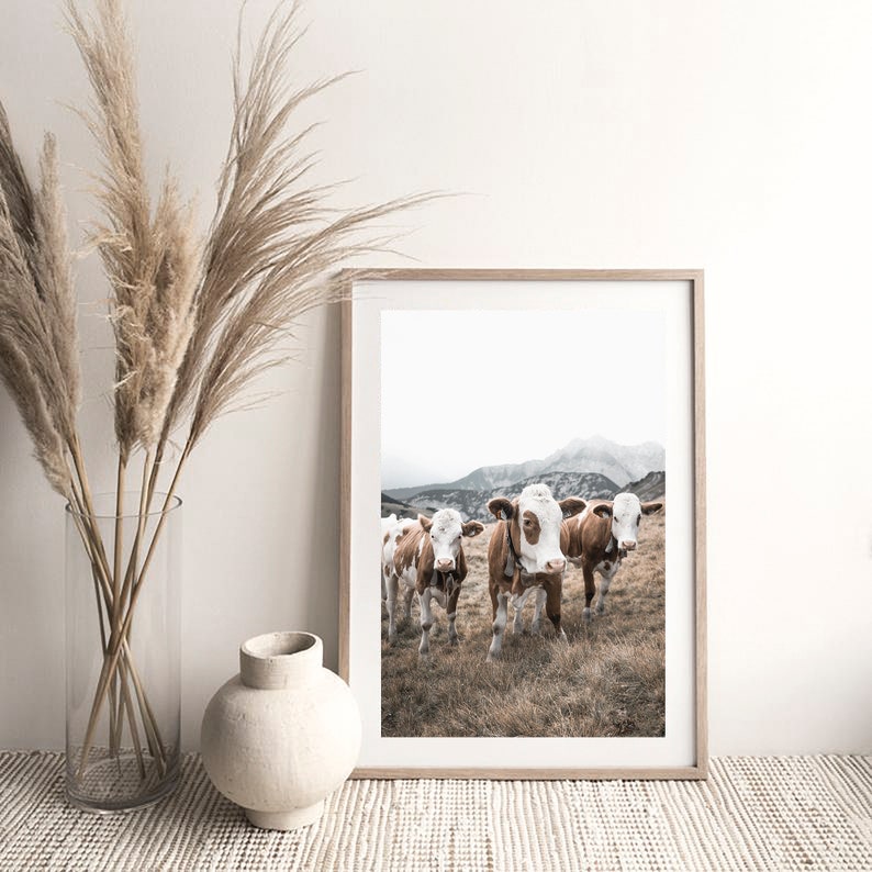 Cow Art Print Farm Art Print Farmhouse Decor Modern - Etsy