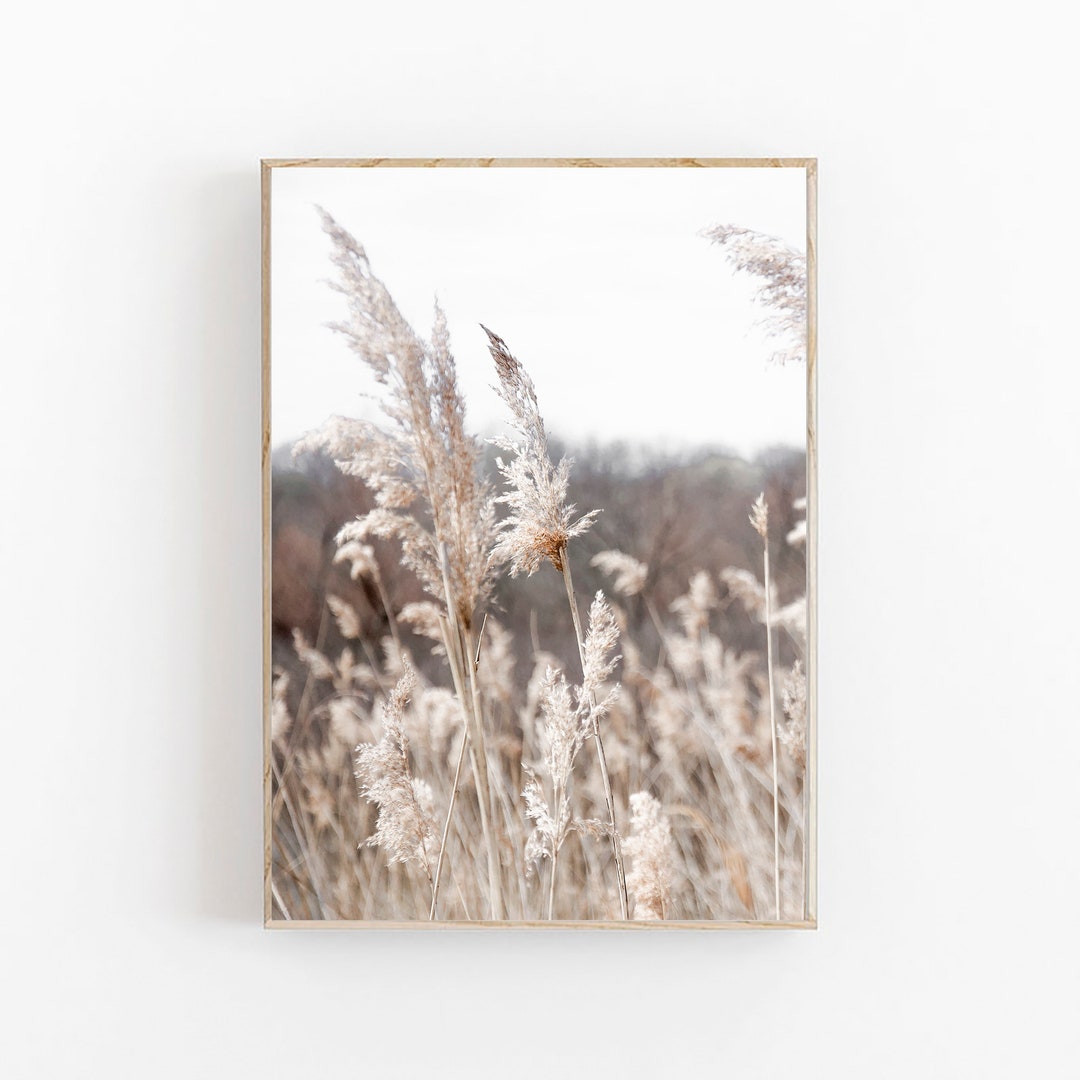 Pampas Grass Print, Modern Minimalist Poster, Dried Grass Print, Nature ...