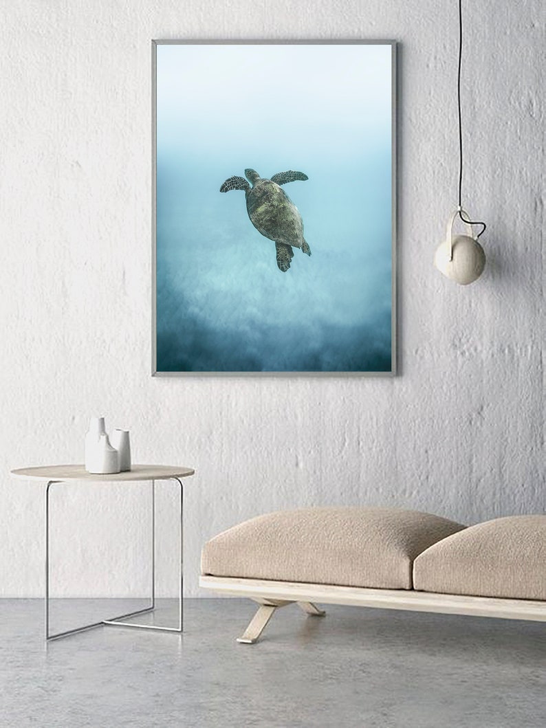Sea Turtle Art Print Turtle Poster Turtle Print Coastal - Etsy