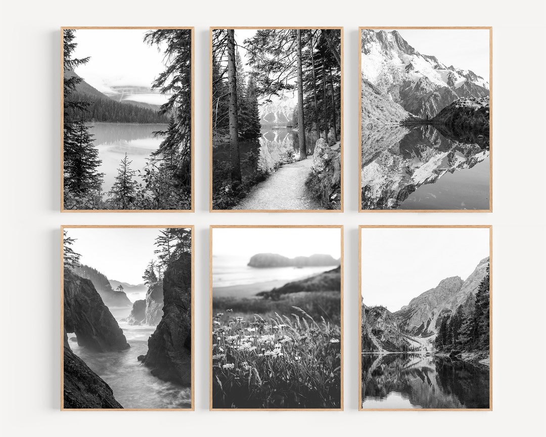 Nature Prints, Black and White Prints, Landscape Prints Set, Forest ...