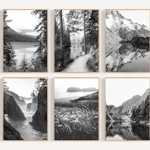 Nature Prints, Black and White Prints, Landscape Prints Set, Forest ...