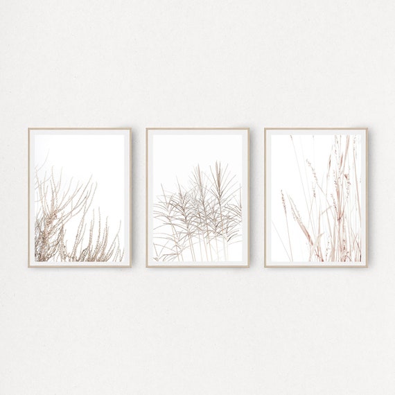 Botanical Print Set of 3 Dried Grass Print Farmhouse Print - Etsy