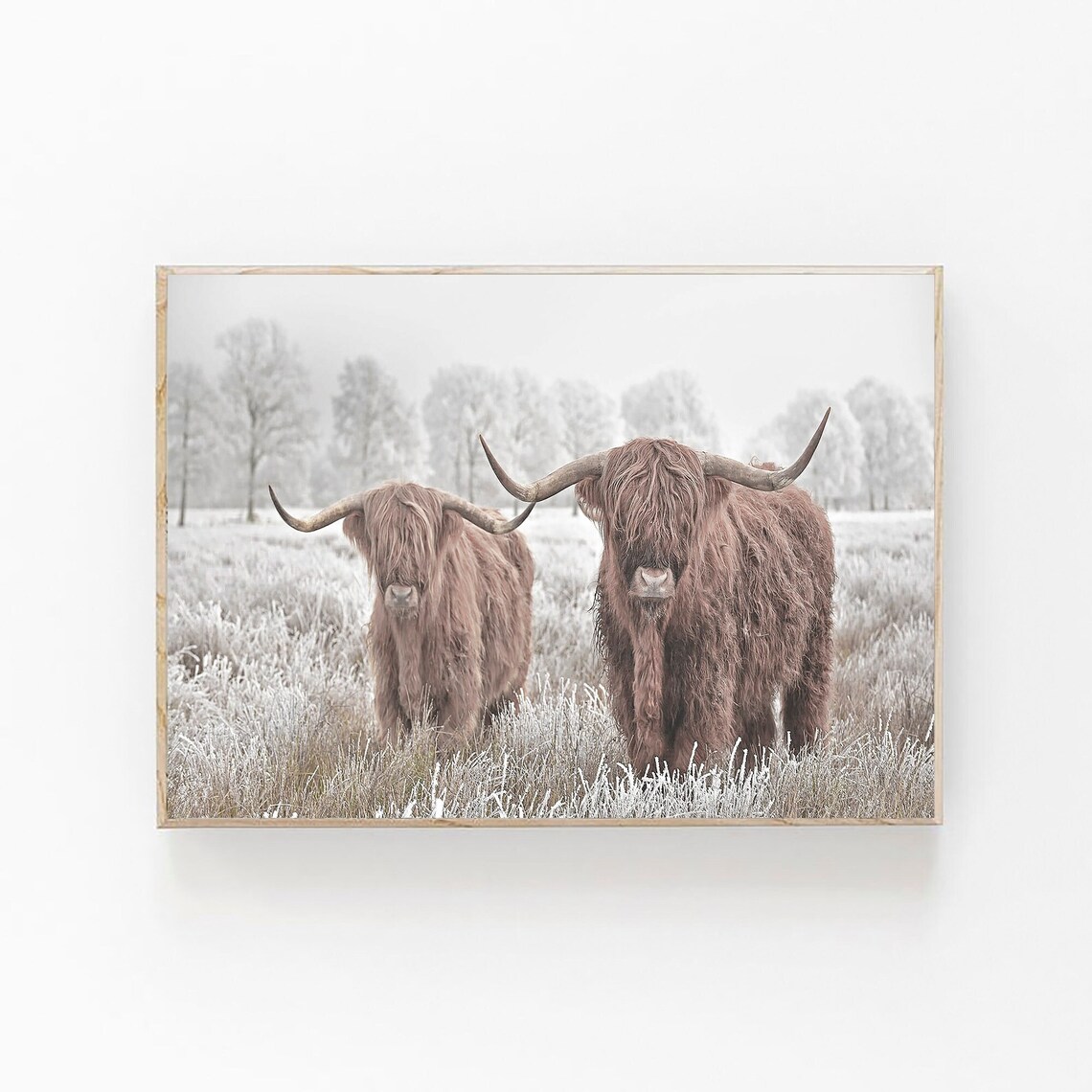 Highland Cow Print Scottish Highland Cow Art Farmhouse - Etsy