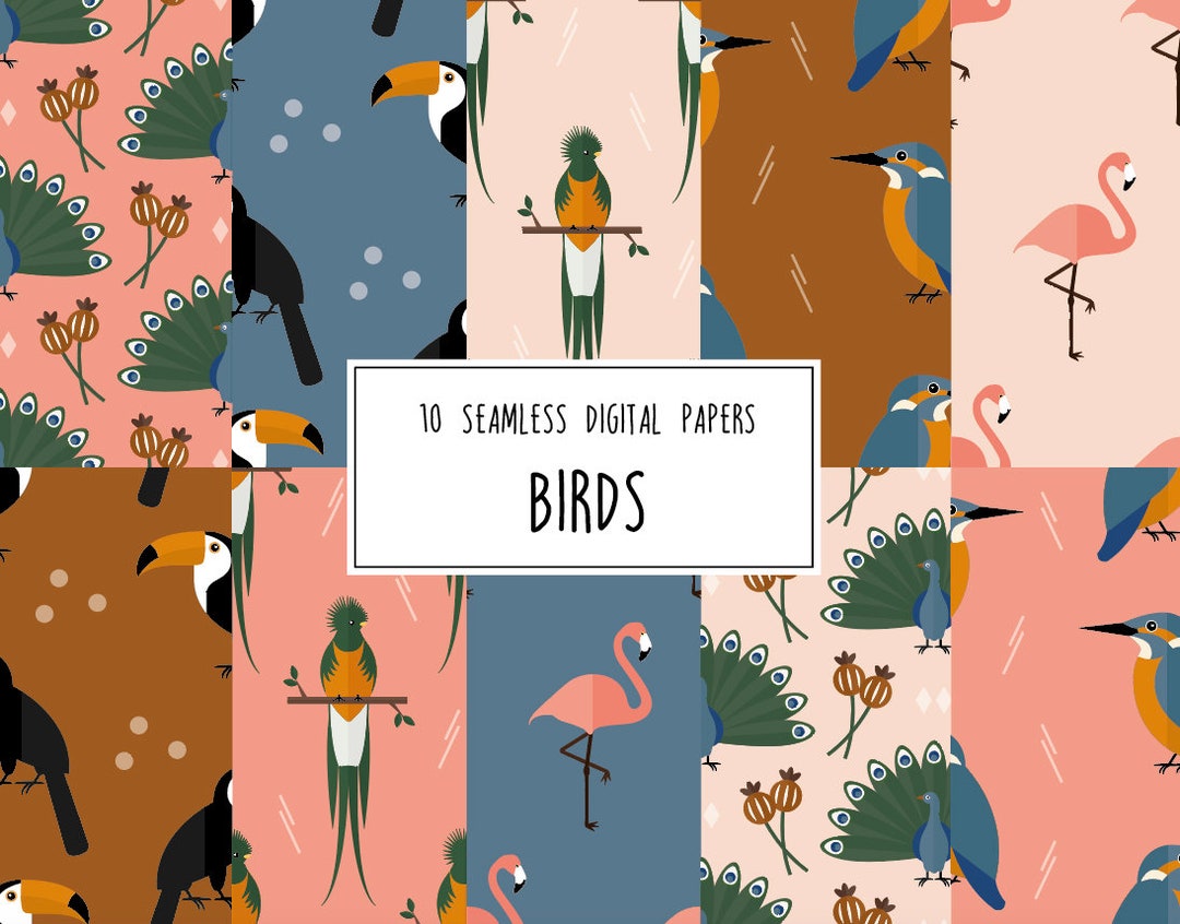 10 Birds Animals Digital Papers, Seamless Pattern, Background ...