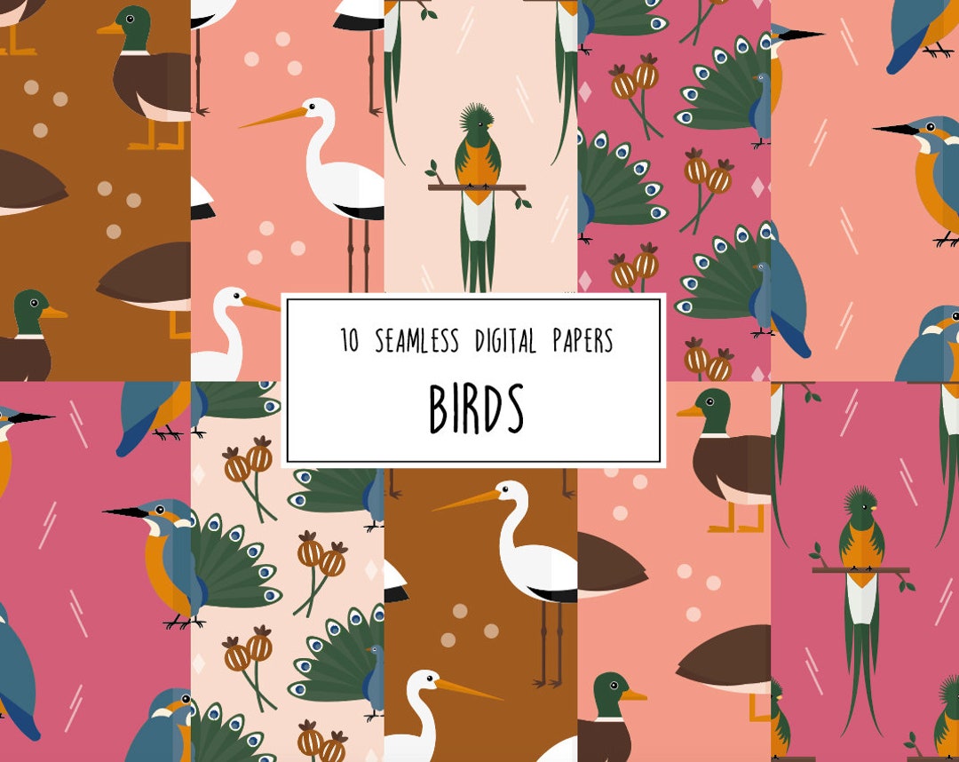 10 Birds Animals Digital Papers, Seamless Pattern, Background ...