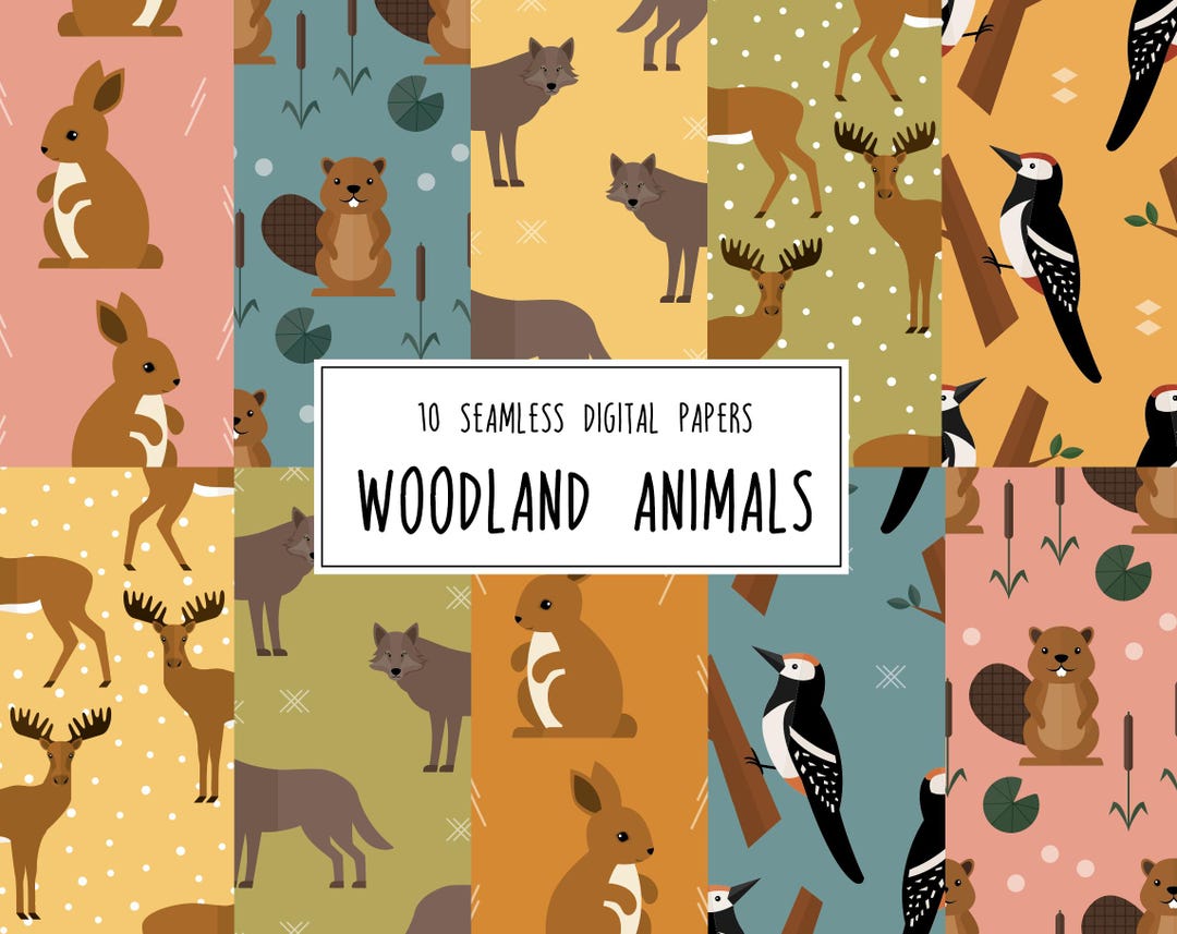 Woodland Animals Digital Paper: Seamless Forest Pattern (12x12", 300dpi ...