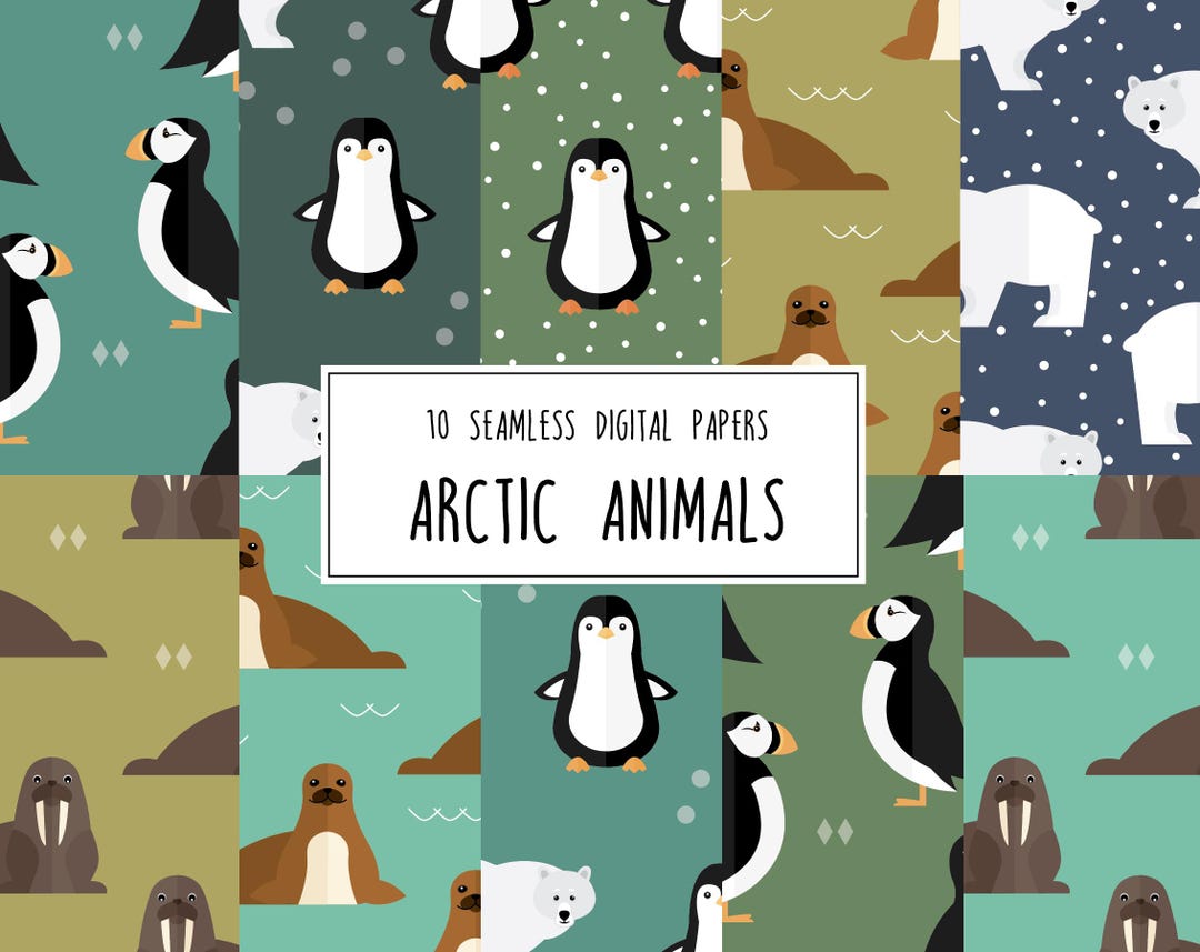 10 Arctic Animals Digital Papers, Seamless Pattern, Background ...