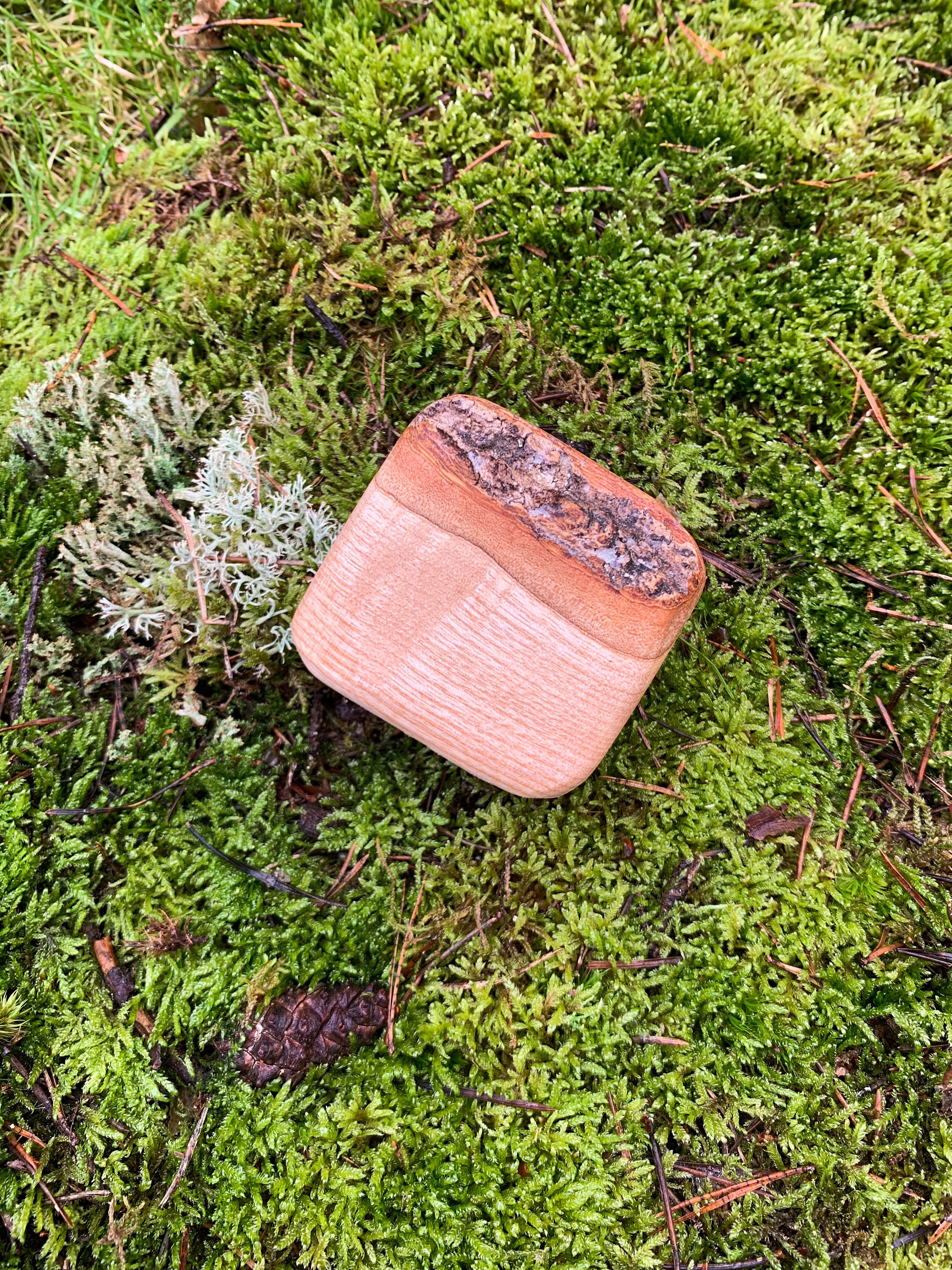 Ash Wood Medicine Rattle / Shamanic Rattle / Spirit Shaker / Ceremony ...