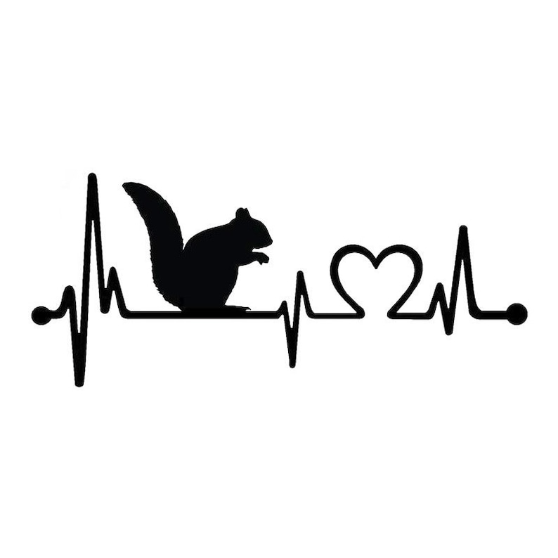 Bumper Stickers Squirrel Heartbeat Heartbeat Heart 17cm Car Sticker JDM ...