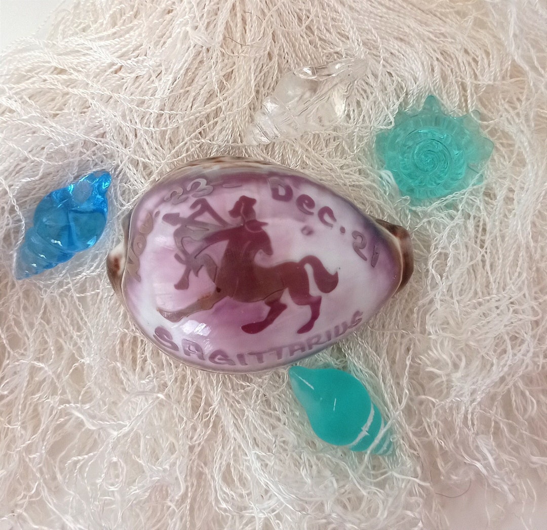 Large Dyed Natural Sea Shell, Hand Crafted Decorated With Sagittarius ...