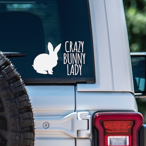 Rabbits Sticker Bunny Car Decal Vinyl Decal Car Decoration - Etsy