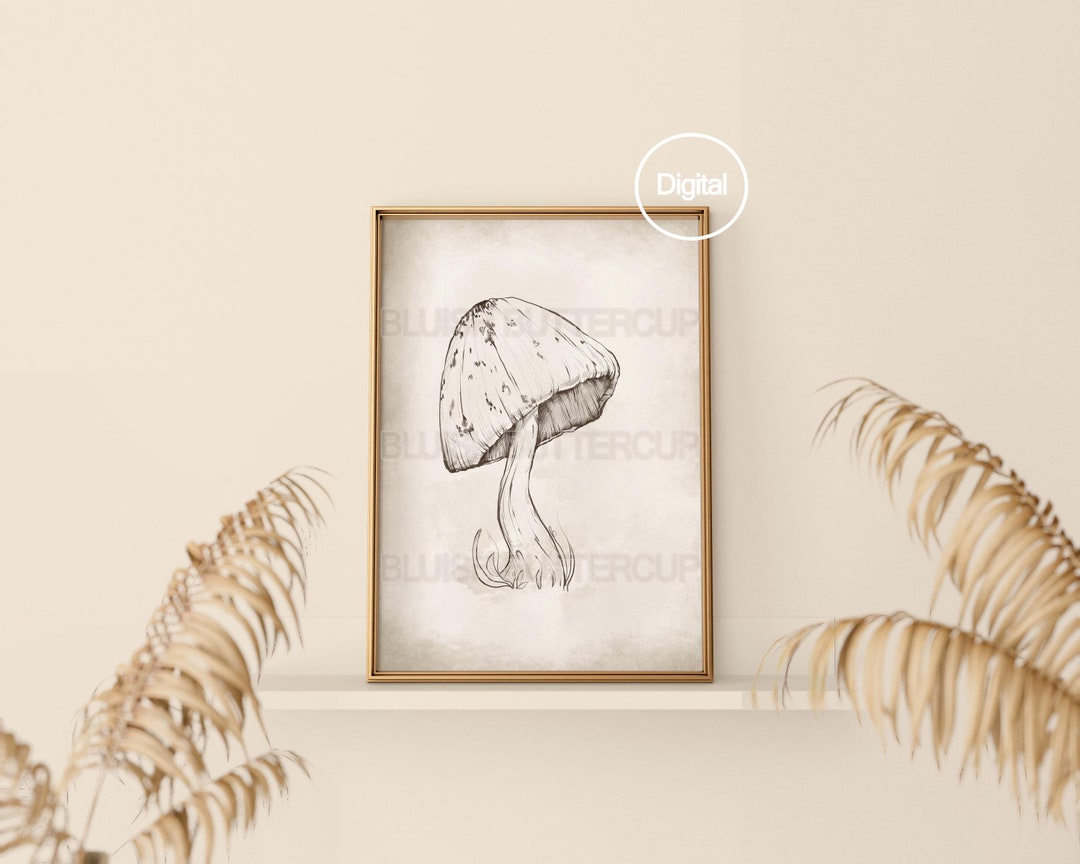 Vintage Style Mushroom Drawing Wall Art, Pencil Drawing Prints, Food ...