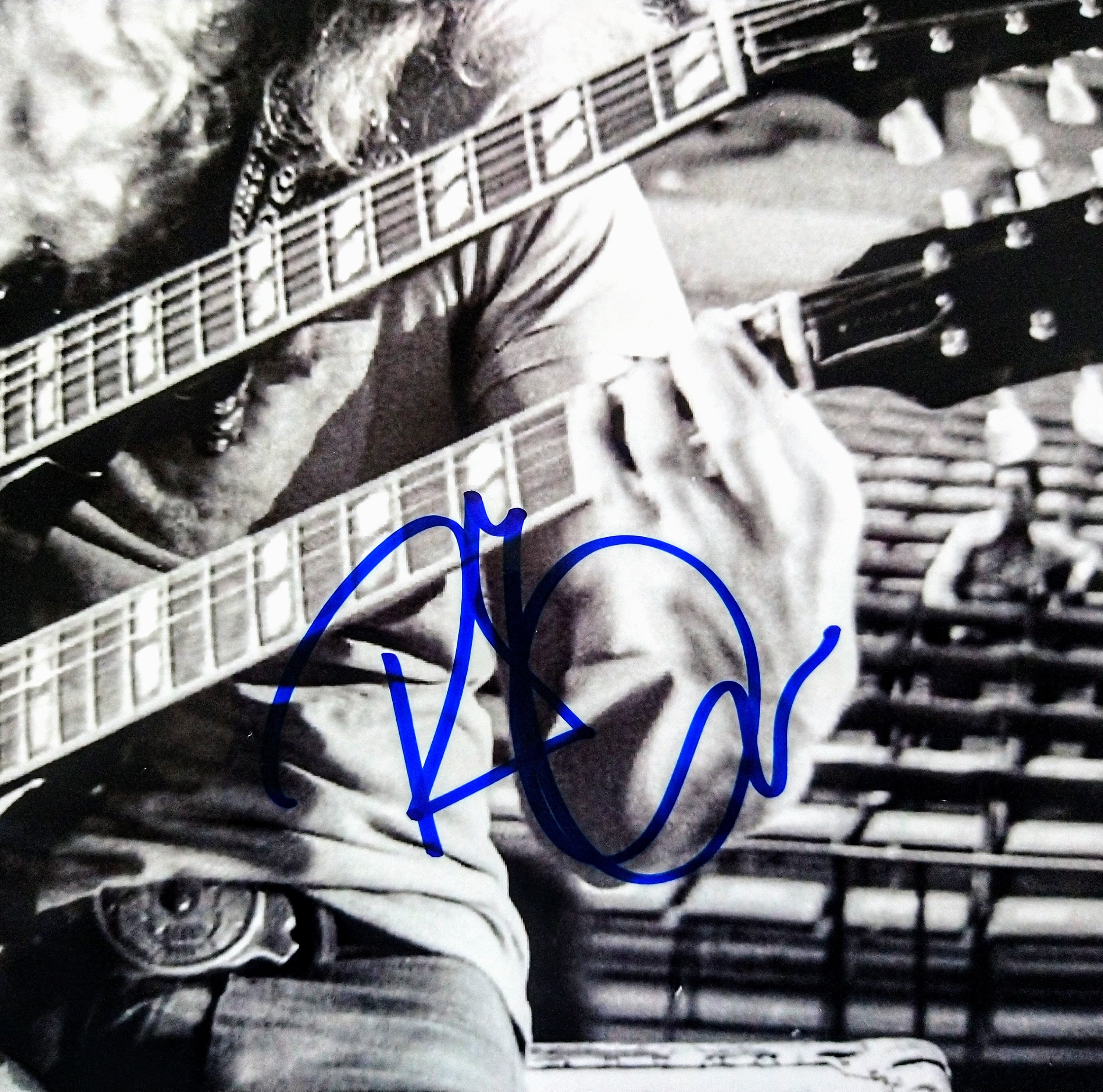 Led Zeppelin Robert Plant Hand Signed Photo With Certificate of ...