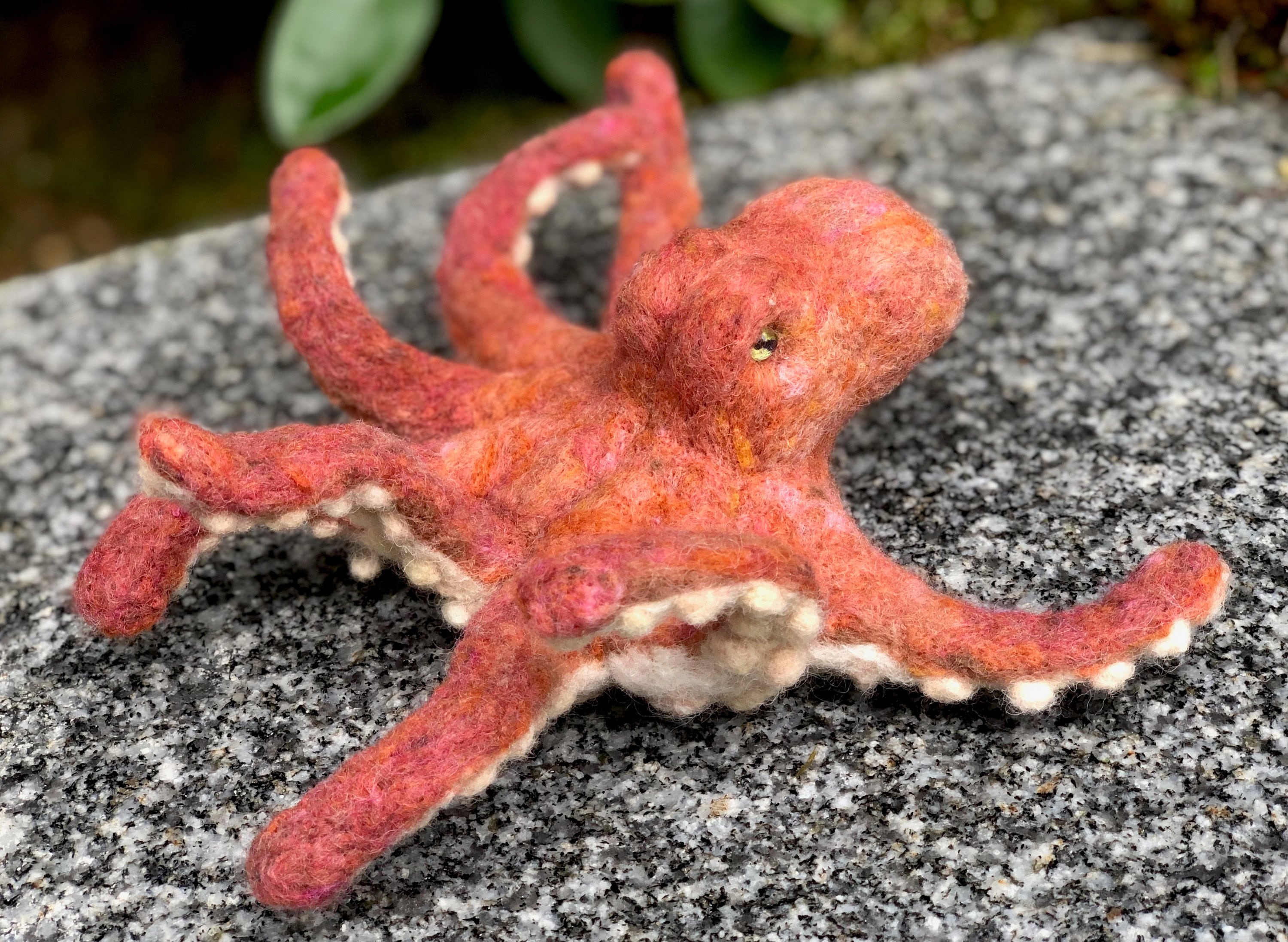 Felted Octopus, Wool Octopus, Sea Creature Sculpture, Octopus Gift ...