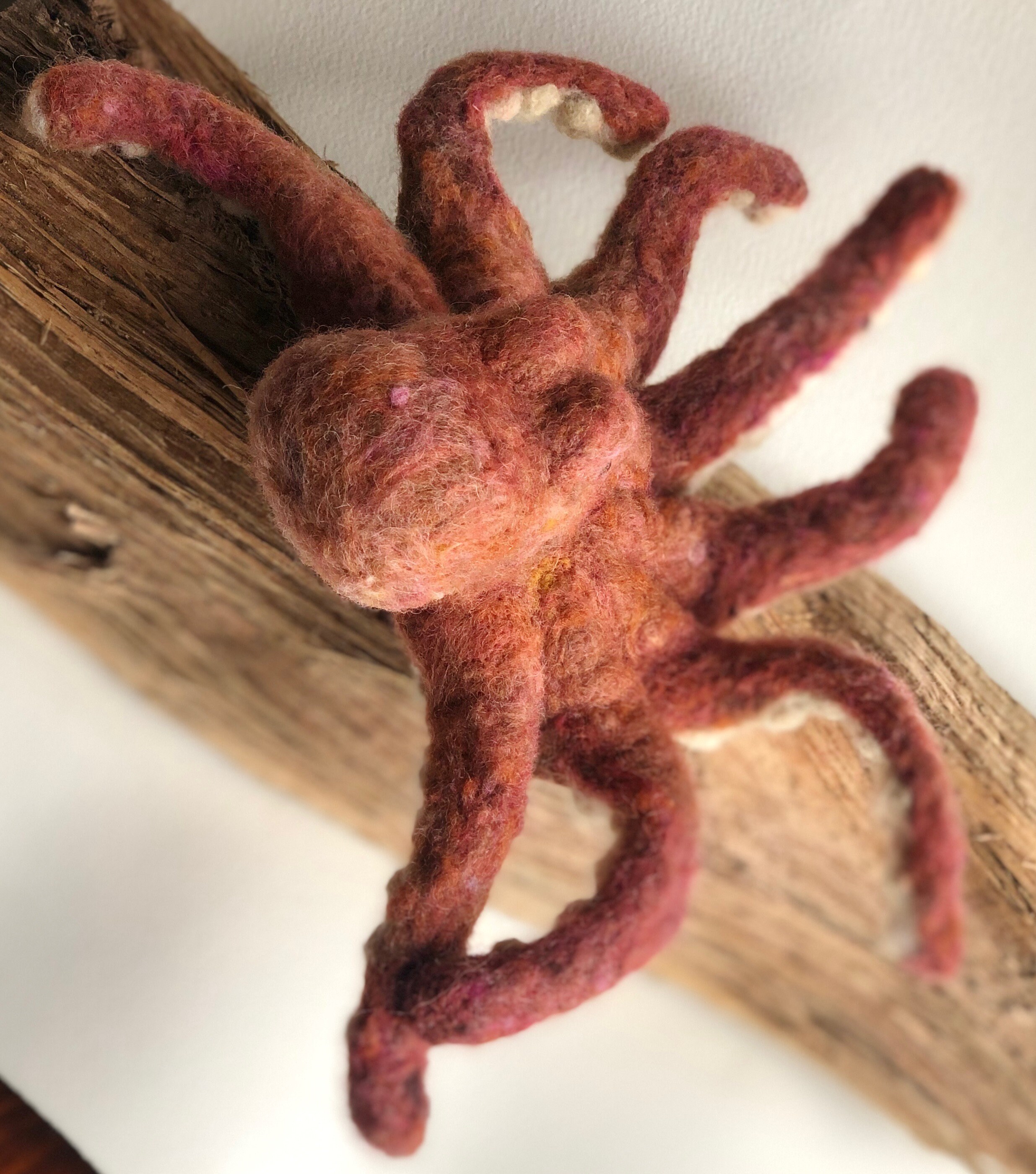 Felted Octopus, Wool Octopus, Sea Creature Sculpture, Octopus Gift ...