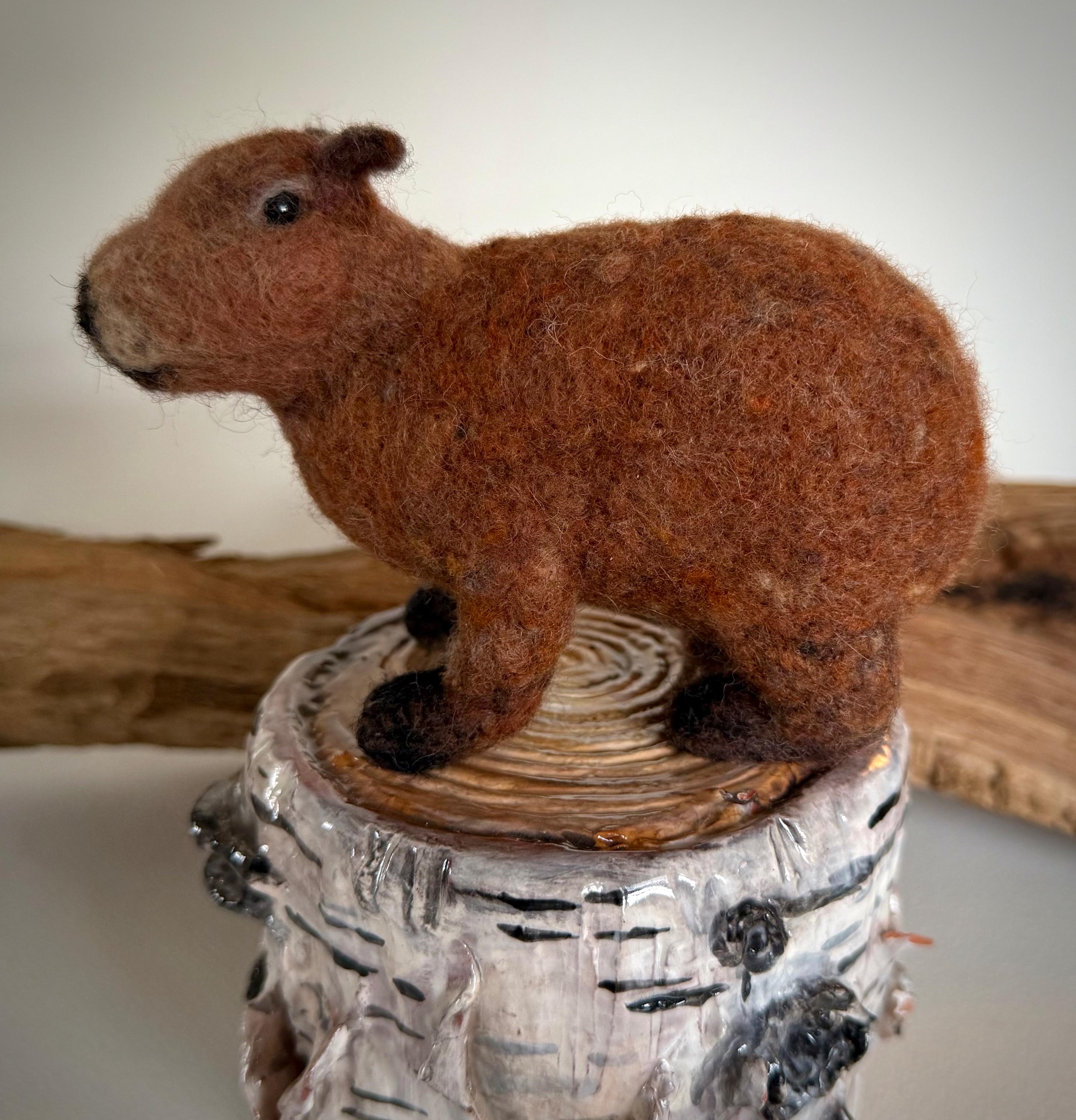 Capybara Felt, Wool Capybara, Sculpted Capybara - Etsy