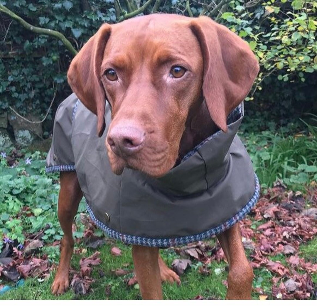 HUNTER Coat Quilted Washablewax Winter Coat, With Chest Coverage. - Etsy