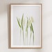 Botanical Wall Art, Modern Farmhouse Decor, Rustic Pressed Wildflowers ...