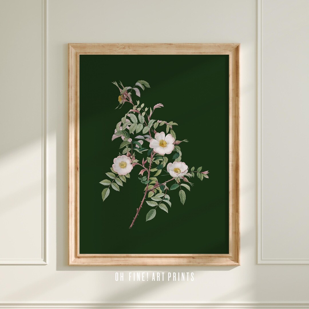 Pink Roses Botanical Art Print, Green Farmhouse Cottage Decor, Moody ...