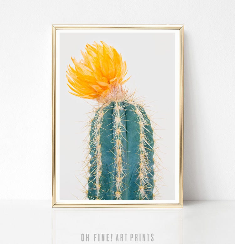 Cactus Print Cactus Wall Art Print Flowering Cactus Poster - Etsy