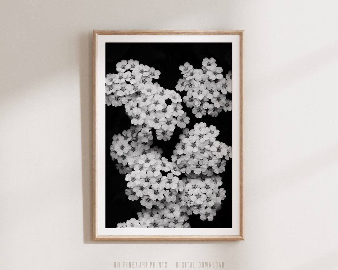 White Blossoms, Flower Poster, Printable Wall Art, Prints, Black and ...