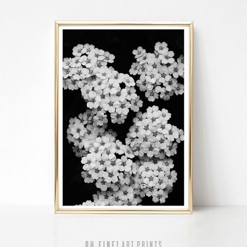 White Blossoms Flower Poster Printable Wall Art Prints - Etsy