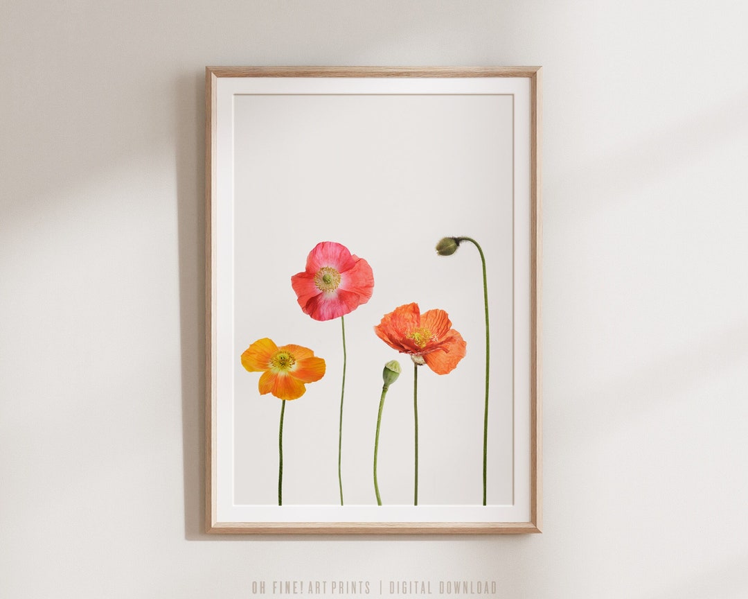 Poppy Flower Print, Flower Wall Art Print, Farmhouse Printable Wall Art ...