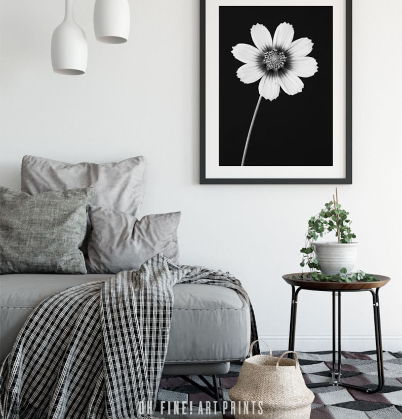 Cosmos Flower Print Black and White Prints Modern Botanical | Etsy