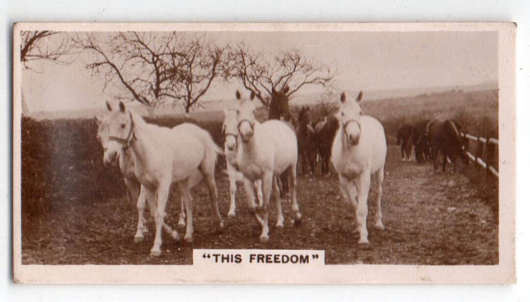 This Freedom 1932 Millhoff De Reszke 3rd Series 4 Cigarette Card - Etsy