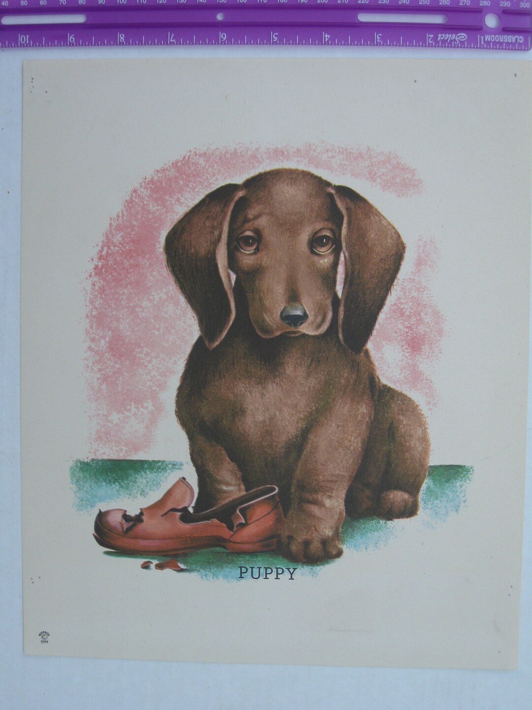 PUPPY Vintage 1959 Rutherfords Animals Litho Print Picture 10x12 - Etsy