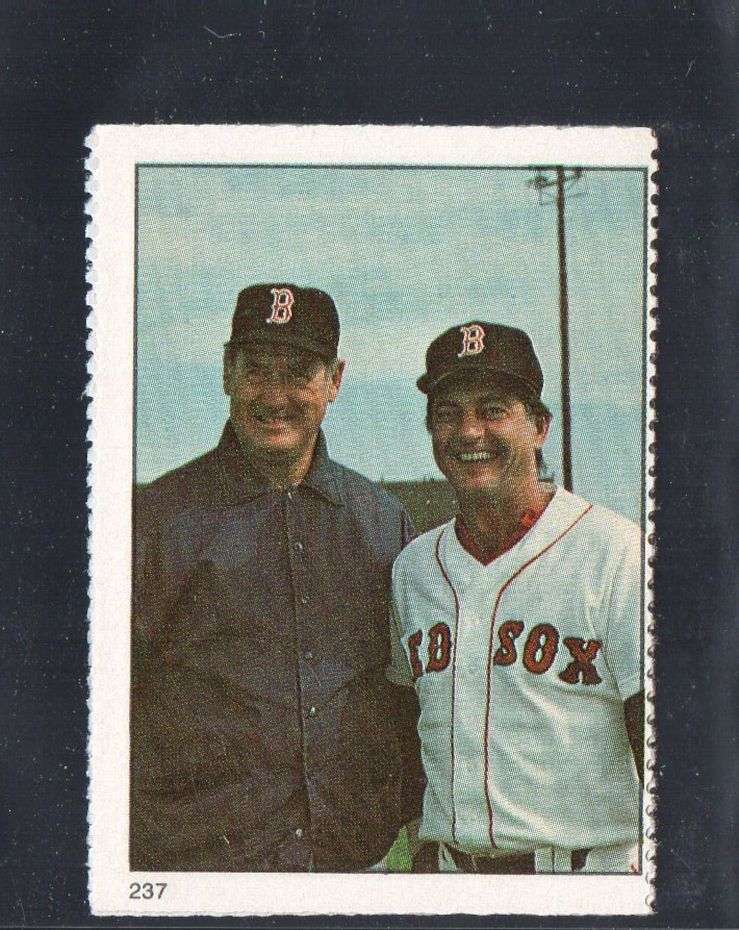 Ted Williams/carl Yastrzemski 1982 Fleer Stickers #237 Baseball Card ...