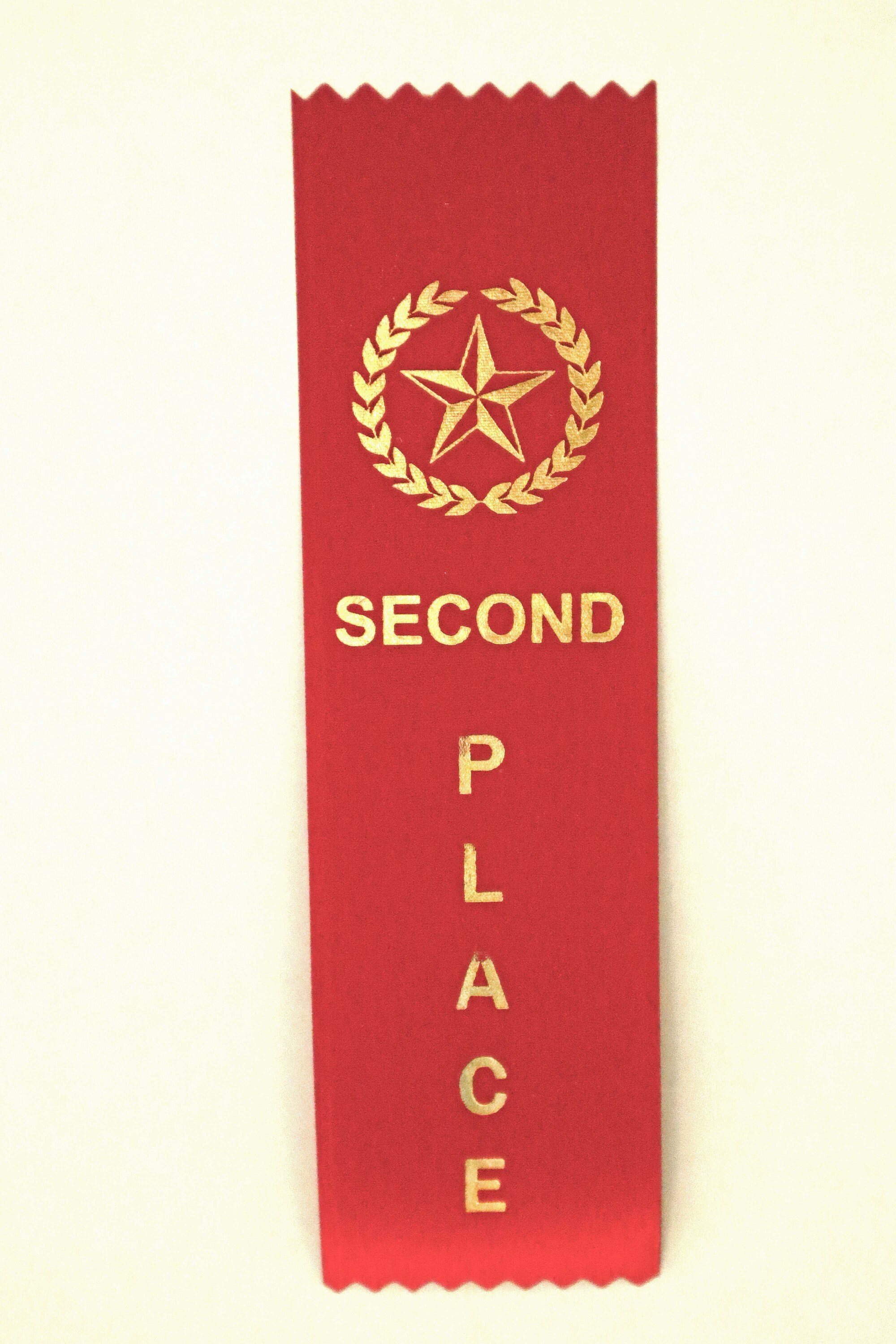 Funny Second Place Ribbon
