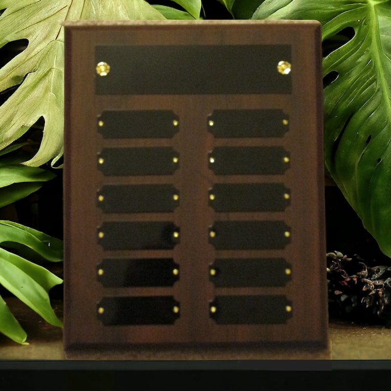 Recognition Plaque - Etsy
