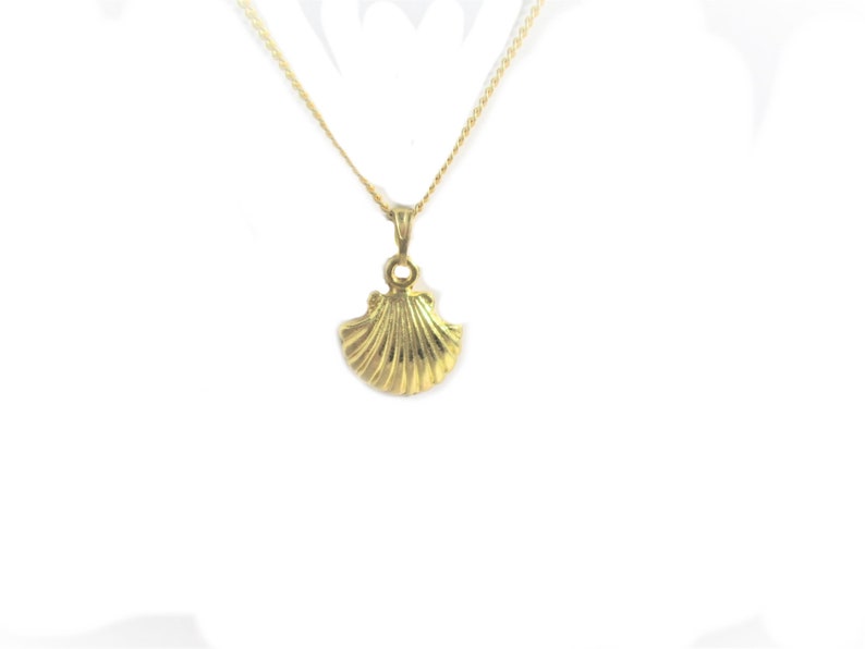 Golden Clam Shell Necklace - Etsy