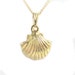 Golden Clam Shell Necklace - Etsy