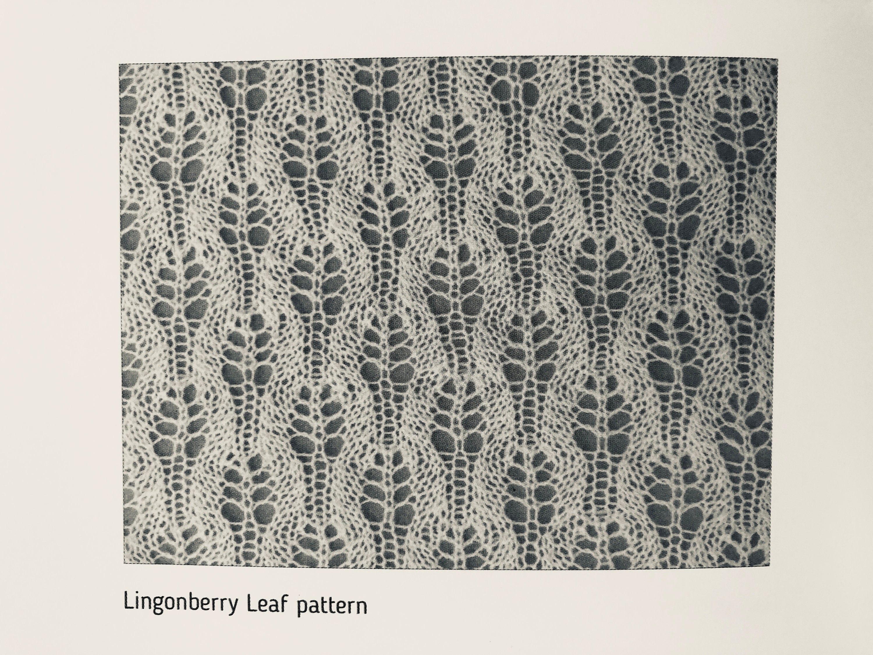 How to Knit Haapsalu Shawl by Siiri Reimann. DIY Book - Handicraft Book ...