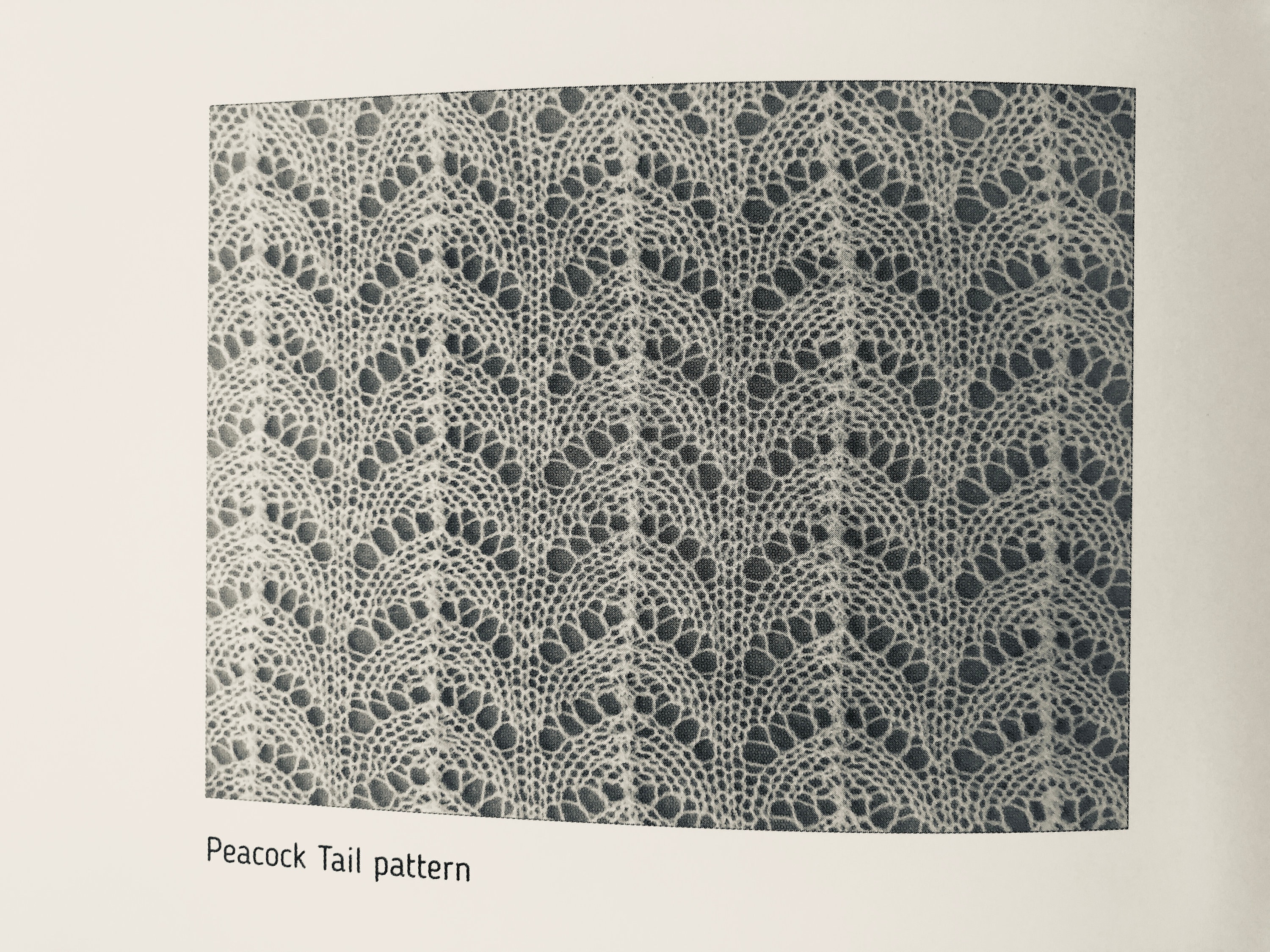 How to Knit Haapsalu Shawl by Siiri Reimann. DIY Book - Handicraft Book ...