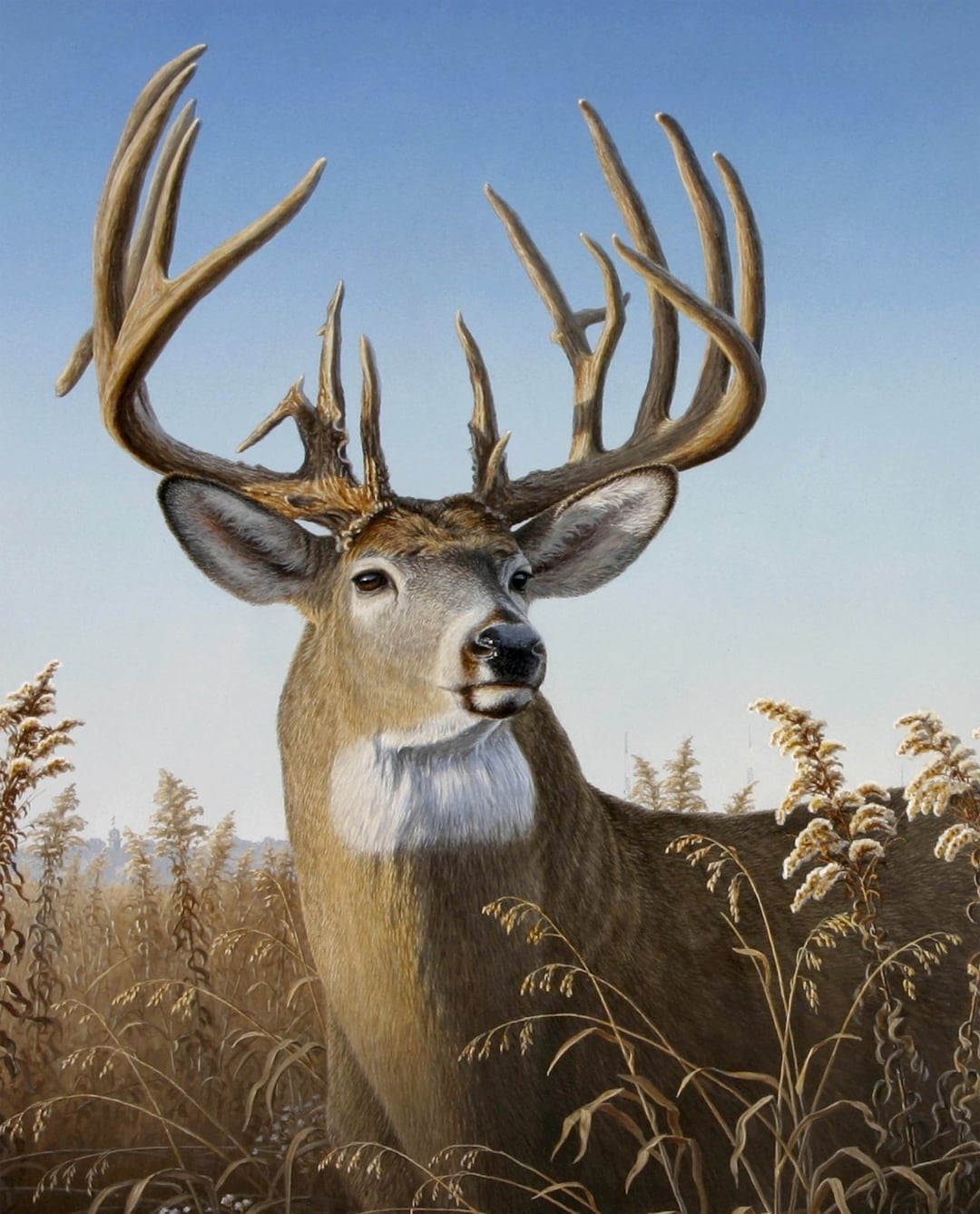 1606 Majestic Deer Portrait 100% Cotton Fabric Panel, 35.75" Wide X 44 ...