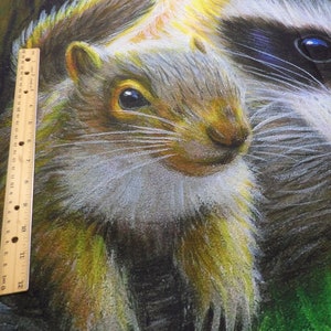 1503 Baby Animals Panel, David Textiles Digitally Printed Cotton Fabric ...