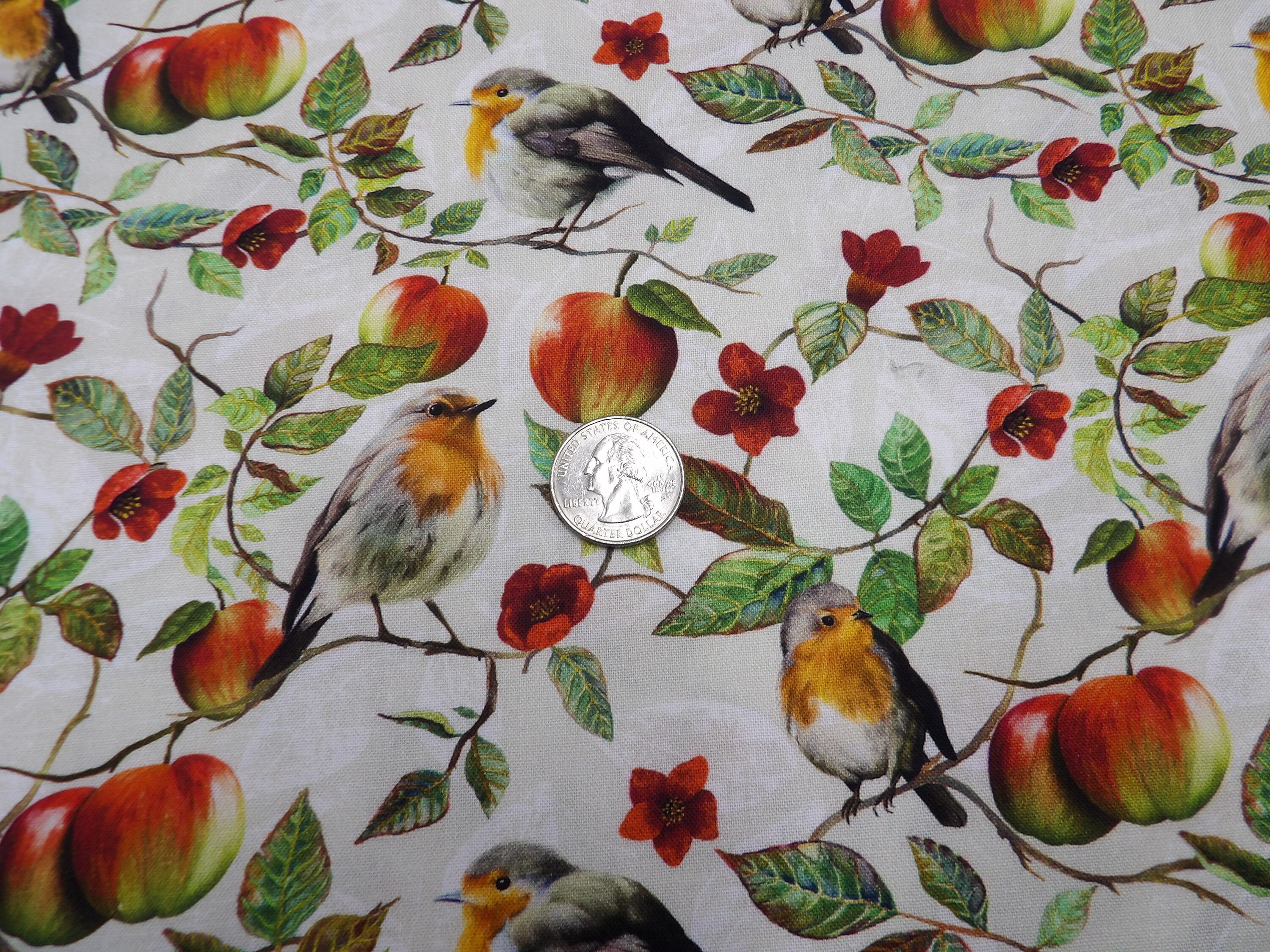 1656 Autumn Robins in Apple Trees 100% Cotton Fabric: Timeless ...