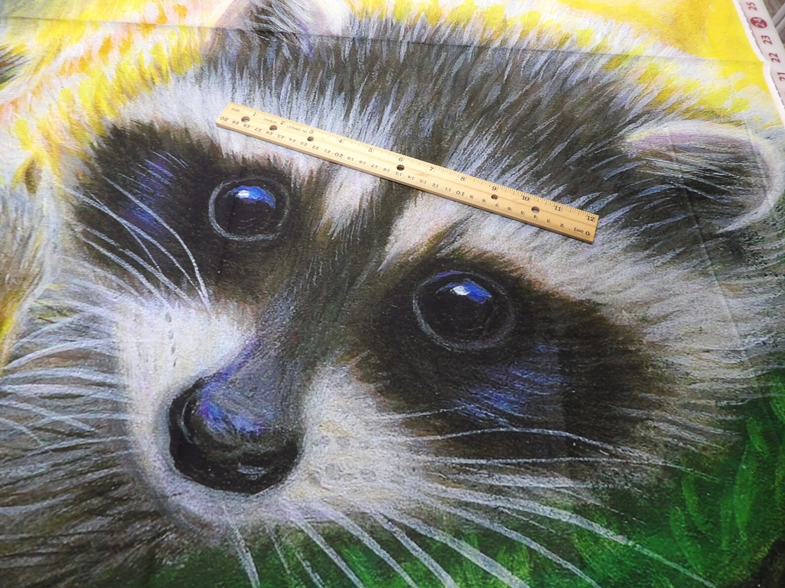 1503 Baby Animals Panel David Textiles Digitally Printed - Etsy