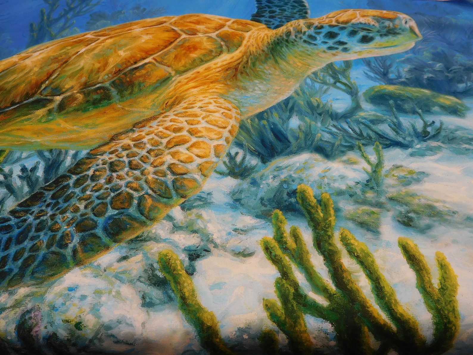 887 Sea Turtle Fabric Panel Ancient Mariner Digital Print | Etsy