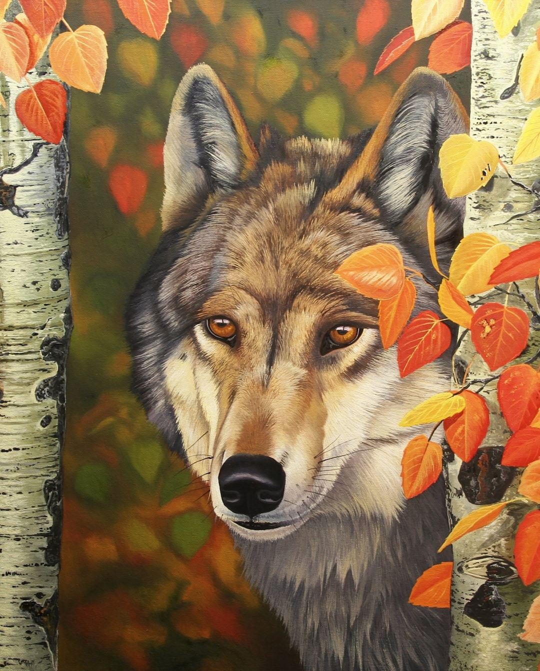 1459 Lone Wolf With Autumn Leaves, Birch Trees - David Textiles 100% ...