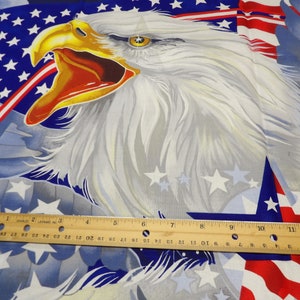1514 Eagle Tribute Panel From Sykel, 35.75" W X 43.5" L. Collage of 5 ...