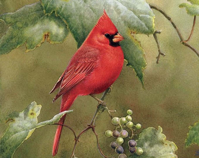 922 Red Cardinals in the Orchard Panel; Cardinal Lovers Quilting Fabric ...