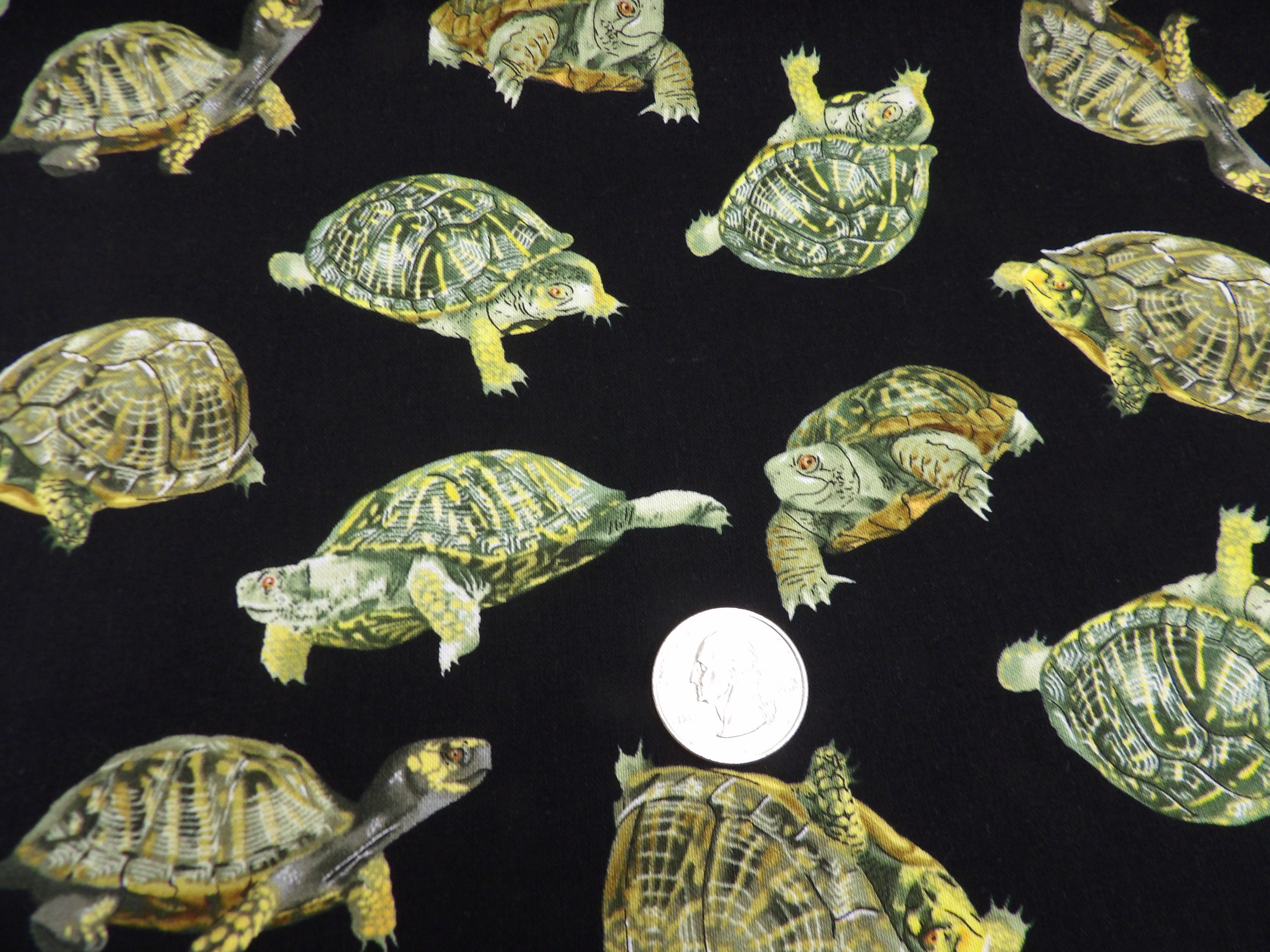 1414 Realistic Box Turtles Fabric by the Yard Timeless - Etsy