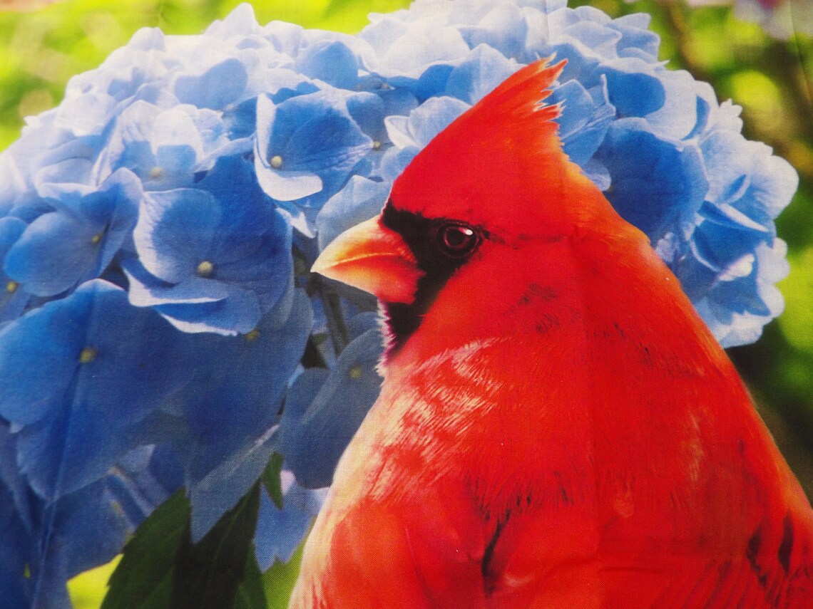 1543 Cardinals and Hydrangea Panel. David Textiles 34.5 - Etsy