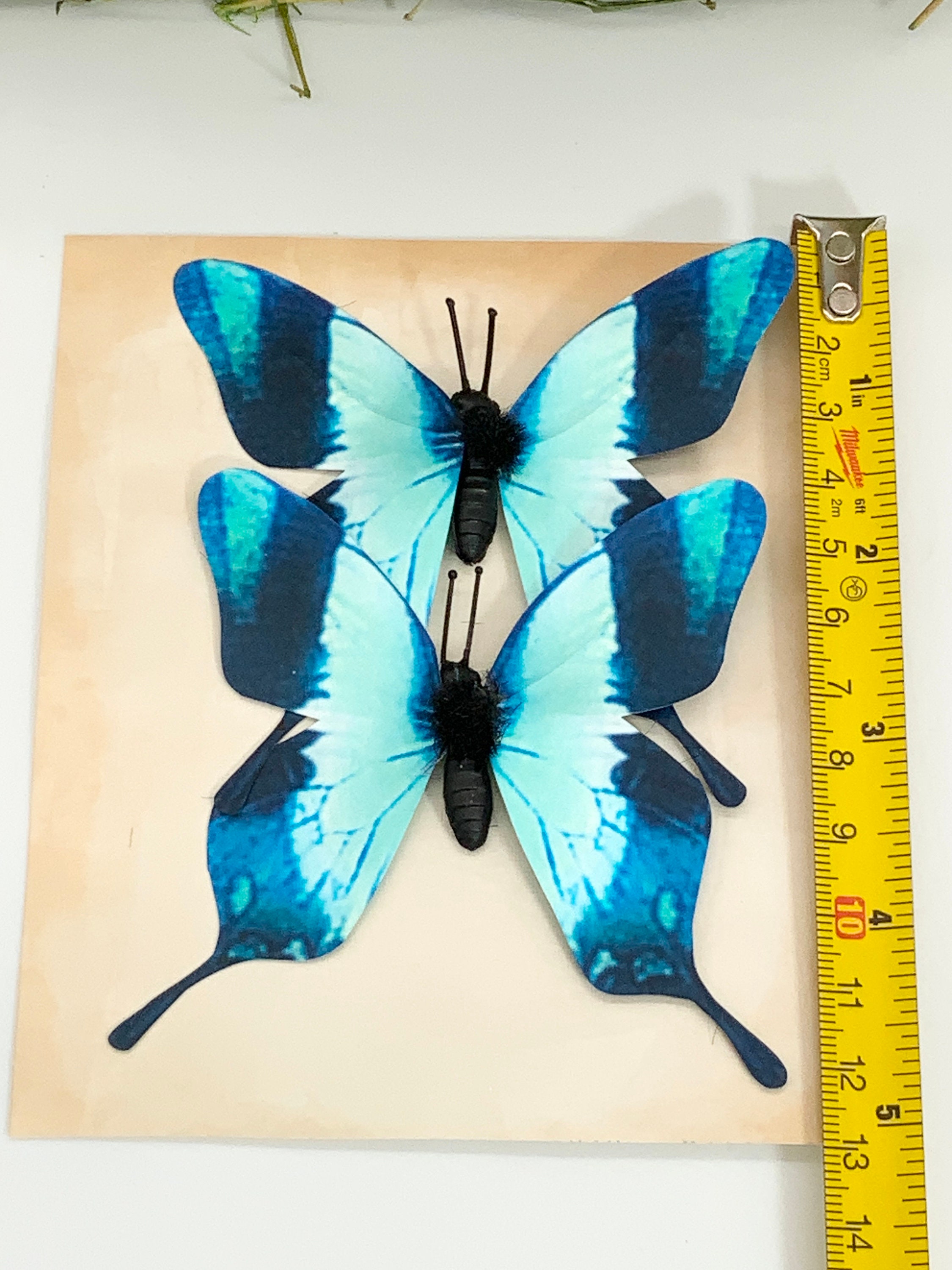Set of 2 Blue Butterflies DIY Floral Butterfly Craft Supply Floral ...